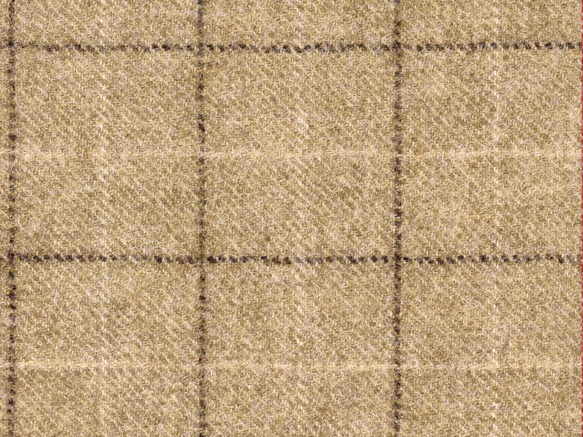 Abraham Moon Oatmeal Check Fabric Sample – All About Tweed